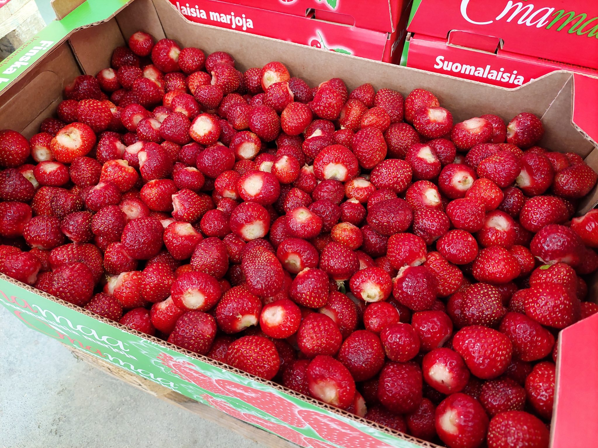 Mansikkalaatikko 5 kg, kannaton - kulmalantila.fi